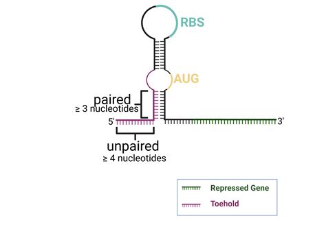 Teamuparis Bmedrylab