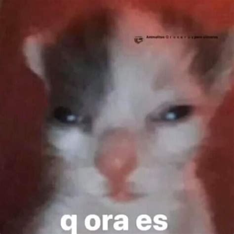Pin De Kofatih En Memes Imágenes Divertidas Imágenes Graciosas