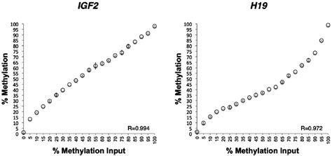 Pyrosequencing Validation Using Bisulfite Modified Methylated And