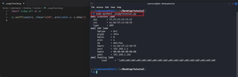 Mod Ller Scapy Cyberworm