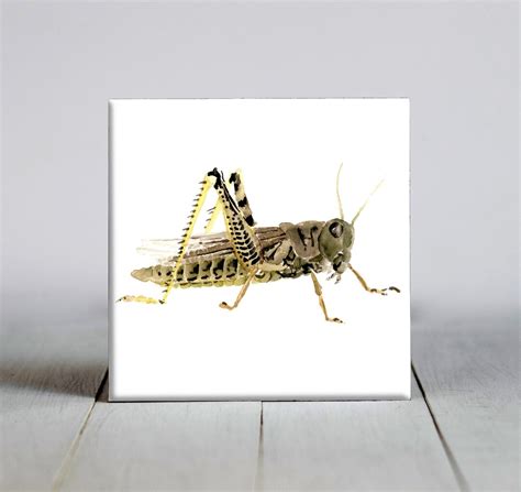 This Item Is Unavailable Etsy