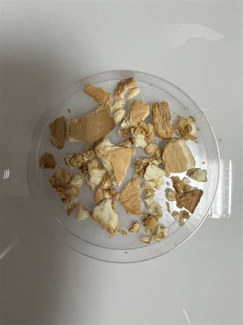 Chewing Mixingcuttingreform Object Detection Dataset And Pre Trained Model By Victori