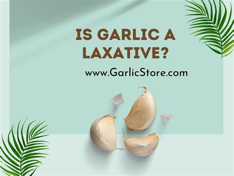 Is Garlic A Laxative Garlic Store