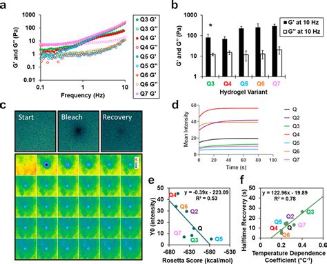 Computational Prediction Of Coiledcoil Protein Gelation Dynamics And