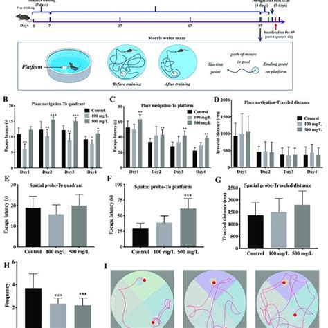 Synthetic Derivatives Bind To Trkb Receptor In Biacore Assay A The