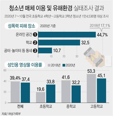 인포그래픽 청소년 매체 이용 및 유해환경 실태조사 결과