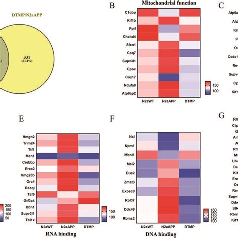 Synthesis And Chemical Structure Of Dtmp And Dtmp Reduced The Levels Of