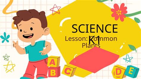 2q Science K1 Pptx2q Science K12q Science K1 Pptx Pptx Biological Sciences Science