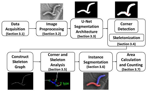 MAKE | Free Full-Text | A Morphological Post-Processing Approach for Overlapped Segmentation of ...