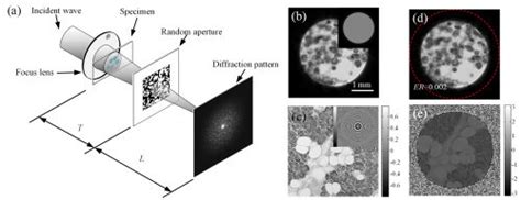 A Basic Scheme For Single Shot Phase Retrieval Based On A Random Download Scientific Diagram