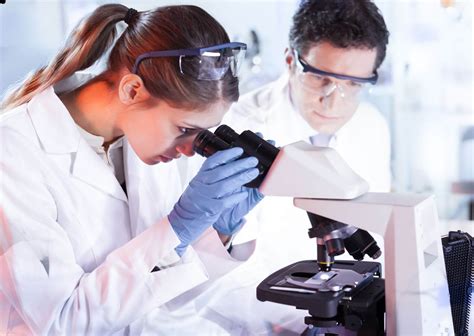 Harnessing Ux Research And Testing For Success Skills Pack