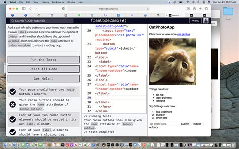 Radio Buttons Coding Issues Html Css The Freecodecamp Forum