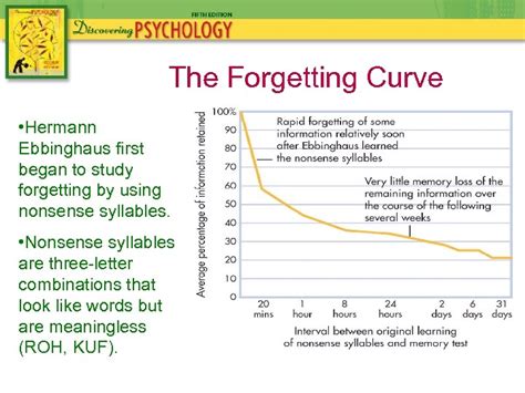 chapter 6 memory stage model of memory