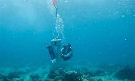Nortek Gathering Current And Wave Data For Coastal Protection