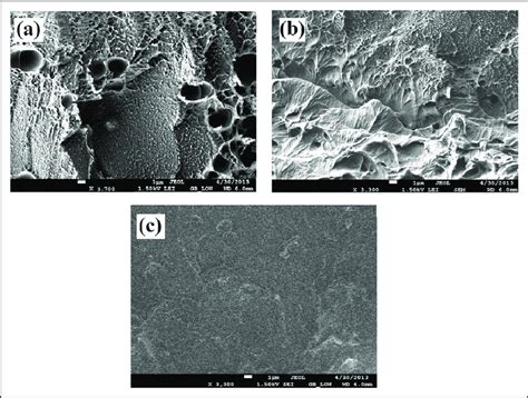 Sem Micrographs Of Hna Mwcnts Ps Composite Films A 00 Wt Hna