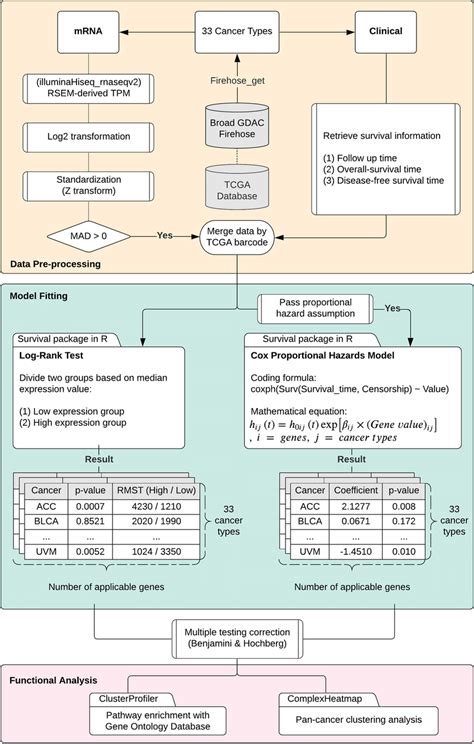 The Workflow For Data Pre Processing Model Fitting And Functional