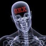 The Growth Tree Sex Science The Brain
