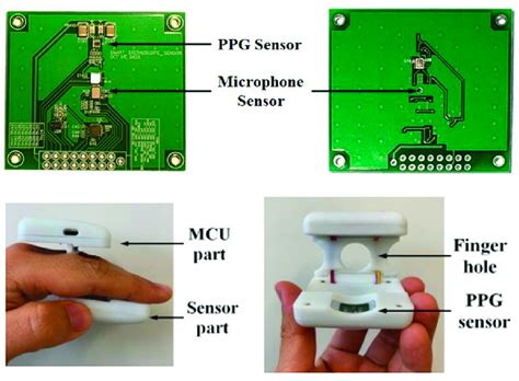 Our Preliminary Research 1 Of Hardware Development For Heart Sound Download Scientific