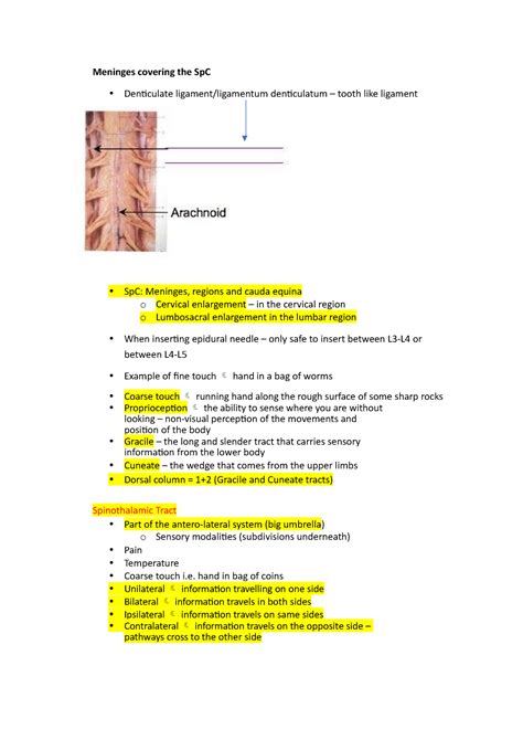 Week 2 Lecture Notes 2 Bios1171 Usyd Studocu