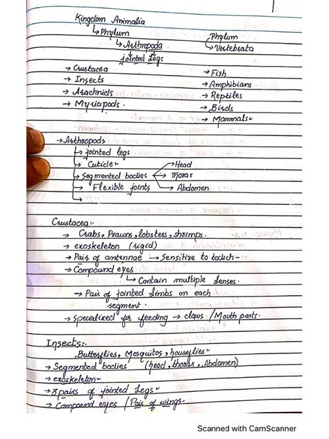 Classification Notes Pdf Classification Notes Pdf