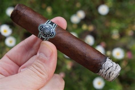 Team Cigar Review Warped Companion De Warped Developing Palates Cigar Beer And Spirit