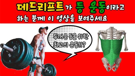 데드리프트는 등운동일까 하체운동일까 Youtube