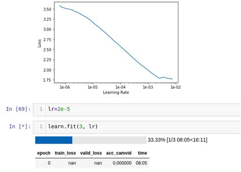 Segmentation Nan Loss Debugging Advanced Part 1 V3 Fastai Course