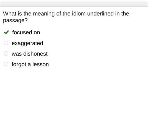 What Is The Meaning Of The Idiom Underlined In The Passage O Focused
