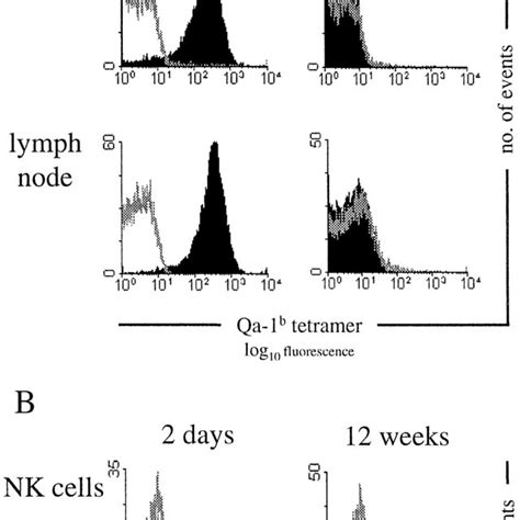 Induced Self And Missing Self Recognitions Of Nk Cells Are Download Scientific Diagram