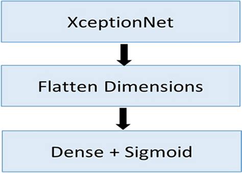 of implemented xceptionnet architecture download scientific diagram
