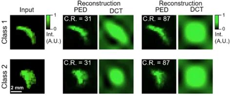 Science Advances All Optical Encoder Decoder For High Performance Image Communication LImIT