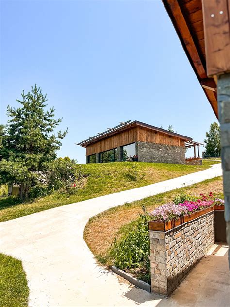 Тайни Вили Бутикова Селекция Бронко