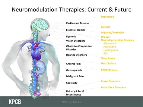Ppt Defining The Landscape For Neuromodulation Powerpoint