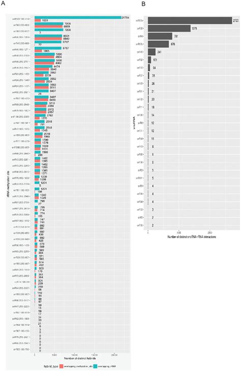 Figure 2 From Mapping Targets For Small Nucleolar Rnas In Yeast
