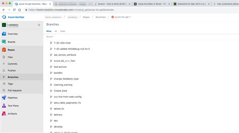 Fetching All Branches And Tags From A Remote Git Repository Order To