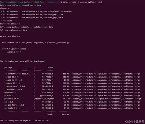 政安晨【零基础玩转开源ai项目】wangp —— 一款面向gpu资源有限的快速ai视频生成工具（支持wan 2122、混元视频、ltx视频及flux技术等）（基于ubuntu系统
