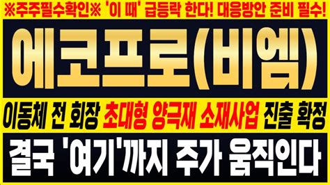 에코프로 에코프로비엠 이동체 전 회장이 공개한 초대형 호재 여기까지 주가 움직이다가 이 때 급락합니다 그러니 그