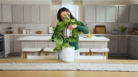 LeafyPod Unveils AI Powered Self Watering Smart Planter At CES