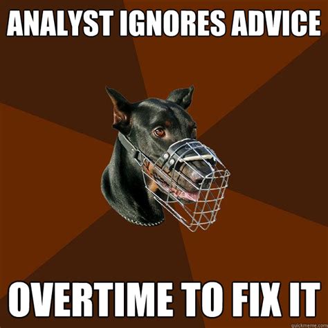 Analyst Ignores Advice Overtime To Fix It Developer Doberman Quickmeme
