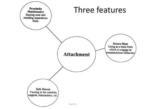 Attachment And Romantic Relationships Ppt Download