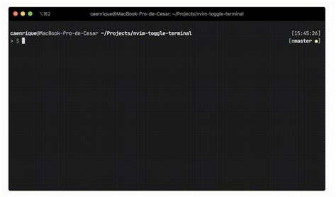 Github Caenriquenvim Toggle Terminal Neovim Plugin That Toggles A Terminal Buffer In The