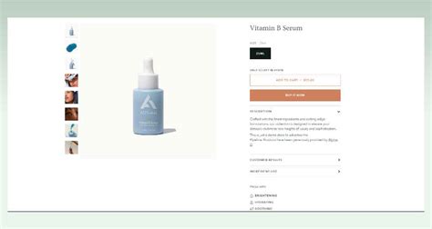 Pipeline Shopify Theme Review All You Need To Know