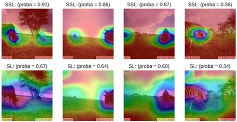 Saliency Maps Of Images With Varying Translation Download Scientific Diagram