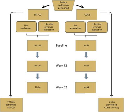 Schematic Of The Current Post Hoc Analysis Assessing Agreement Between Download Scientific