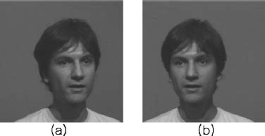 Behavior Of The Diffusivity Function Download Scientific Diagram