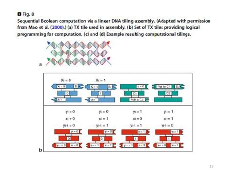 Molecular Computation Ppt Download