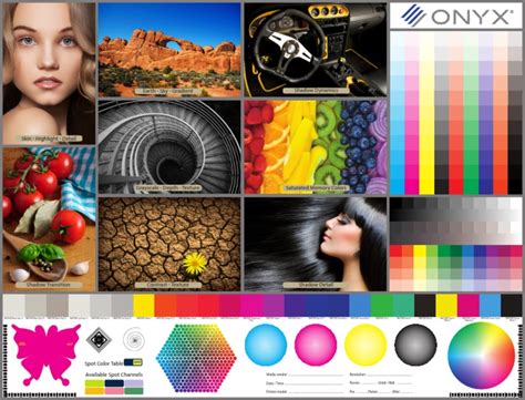 Onyx Quality Evaluation Pdf Pdf