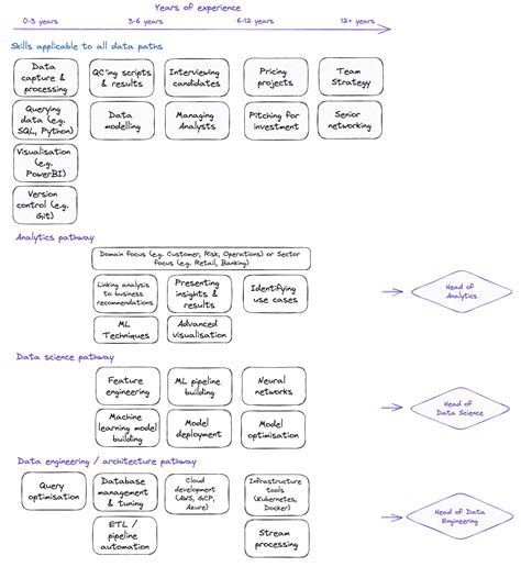 career paths in data analytics science engineering r sql