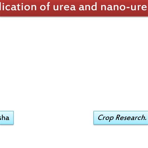 Yield Of Rabi Maize As Influenced By Foliar Download Scientific Diagram