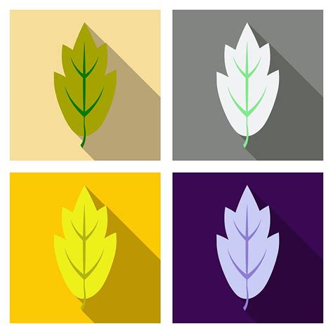 단풍 색 배경 벡터에 고립 Ai Eps Uidownload